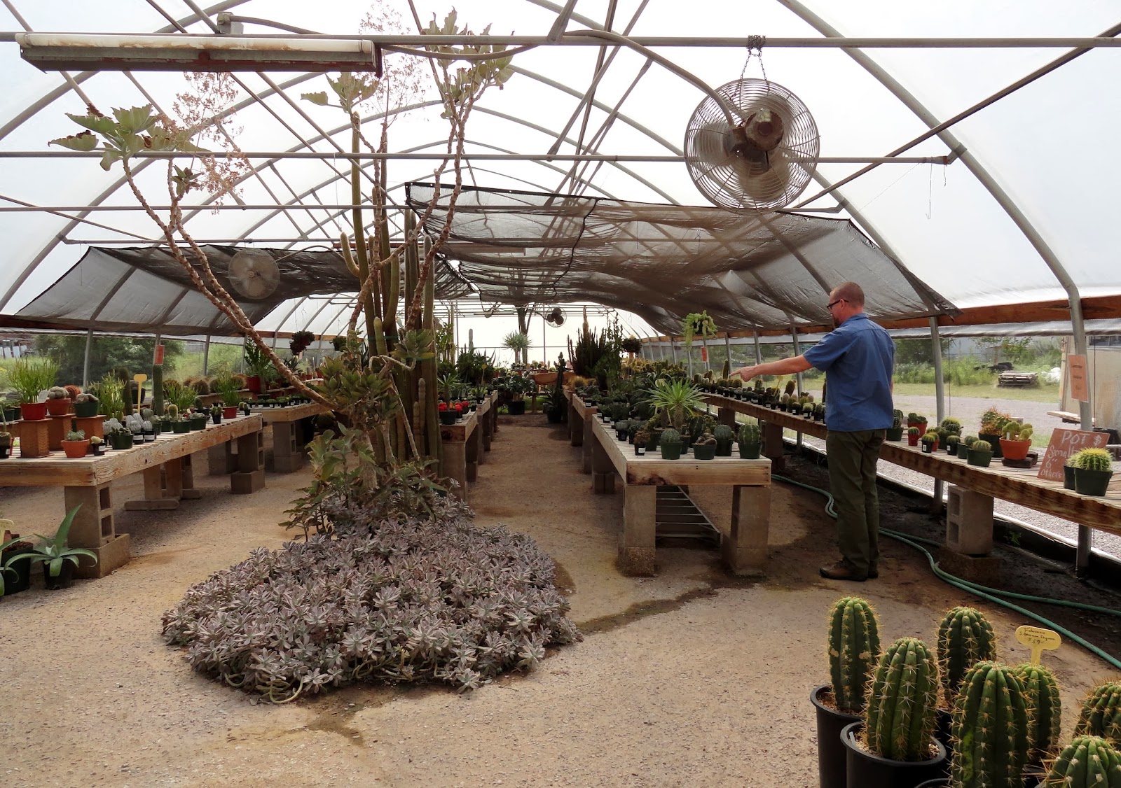 danger garden: Buffalo Bill’s Exotic Cactus Ranch, again (yawn….)
