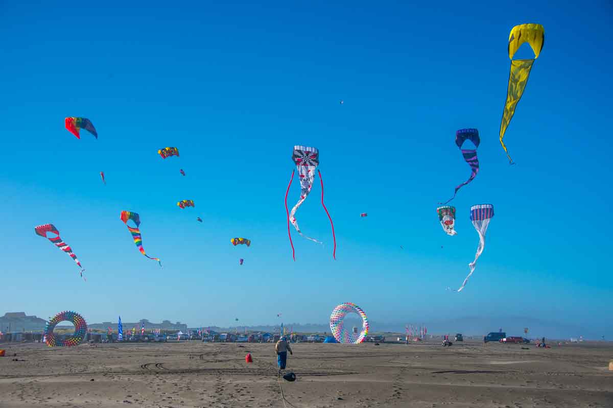 Kissack Adventures: Launching Big Kites!!