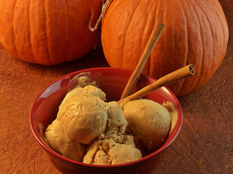 Pumpkin n Spice n Everything Nice Ice Cream #icecreamsundays