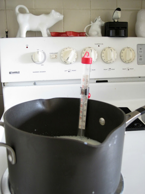 The Pickled Herring: DIY: Yogurt