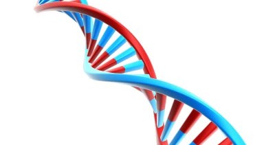 Dime lo que quieras: Los genes el ADN y usted