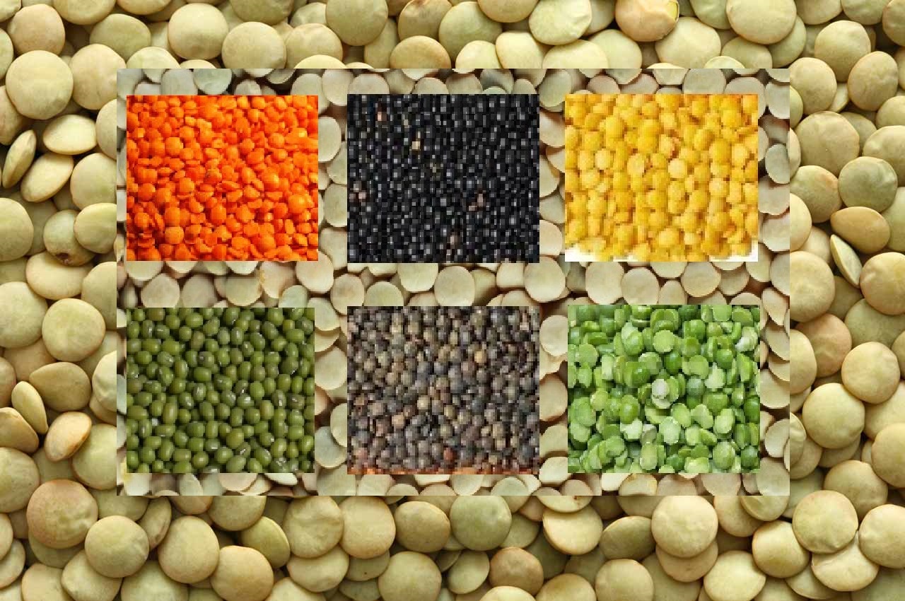 amarlamesa: Lentejas morunas | El origen de las lentejas