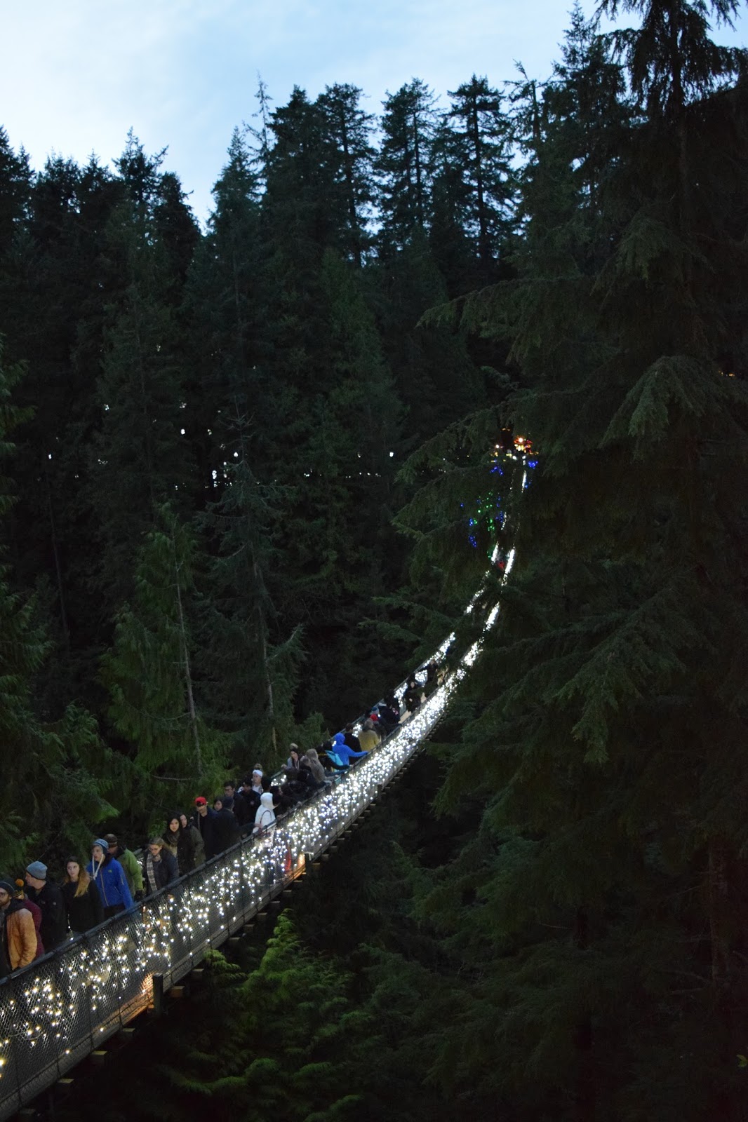 Twinkle Lights and Teetering Heights: Christmas at the Capilano ...
