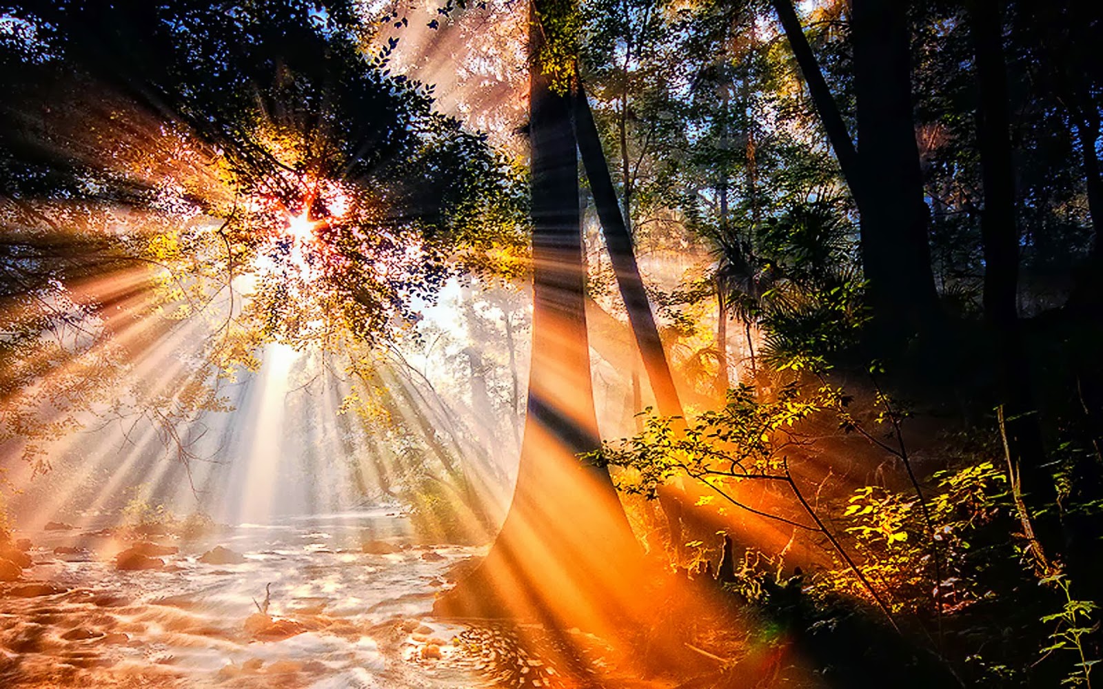 INSPIRAÇÃO E IMAGENS: Imagens do sol e seus raios