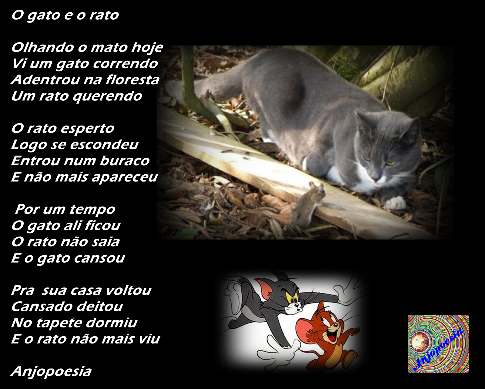 Sensibilidade a navegar com poesias: O Gato e o rato Anjopoesia