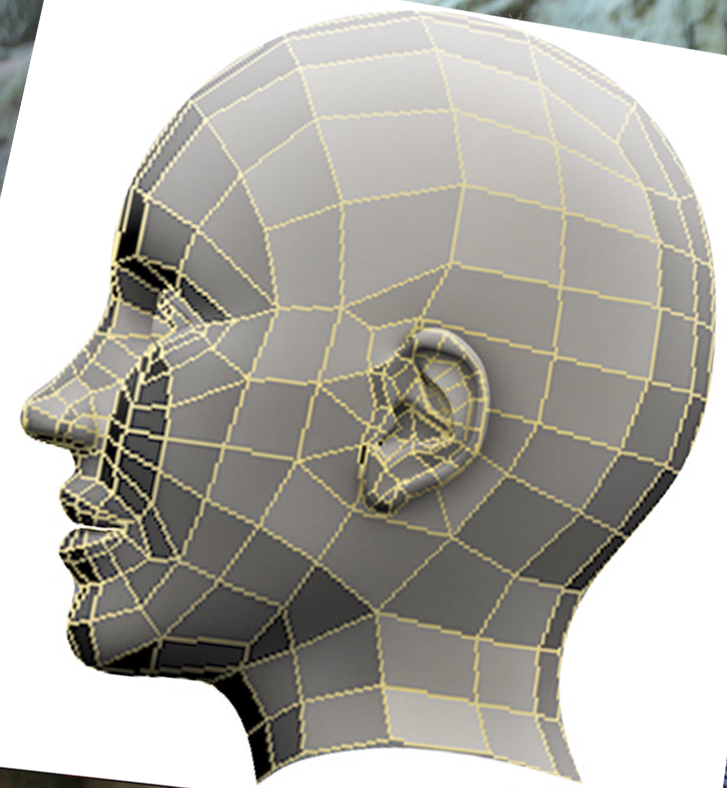 Alan-Taylor-DD1133: Face Modelling