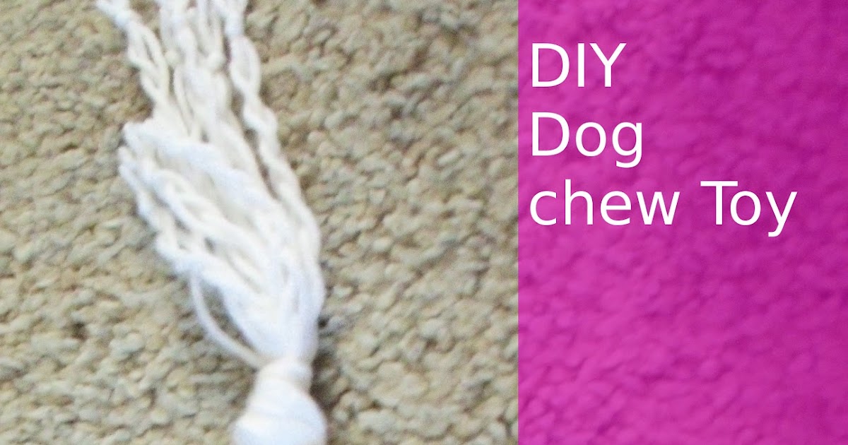 Homeschool Smarts: DIY Dog Chew toy