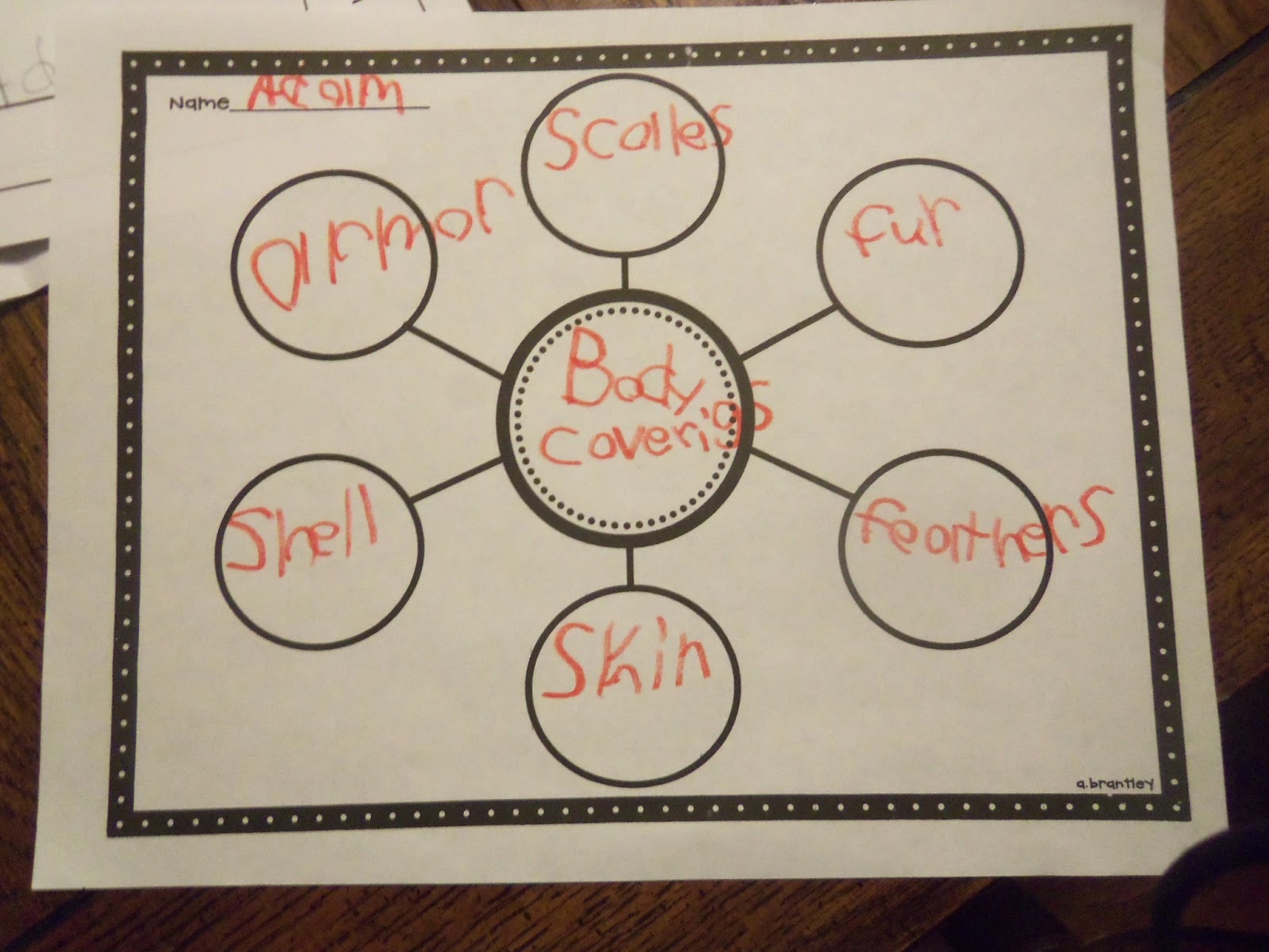 Mrs. Wood's Kindergarten Class: Body Coverings