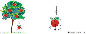 RMB fuerzas de gravedad