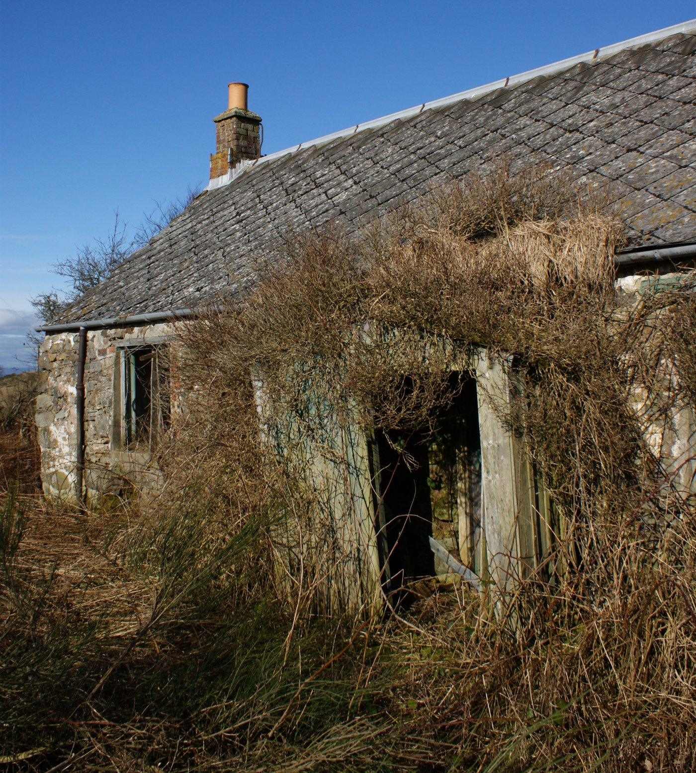 Tour Scotland: Tour Scotland Photograph Derelict Cottage March 1st