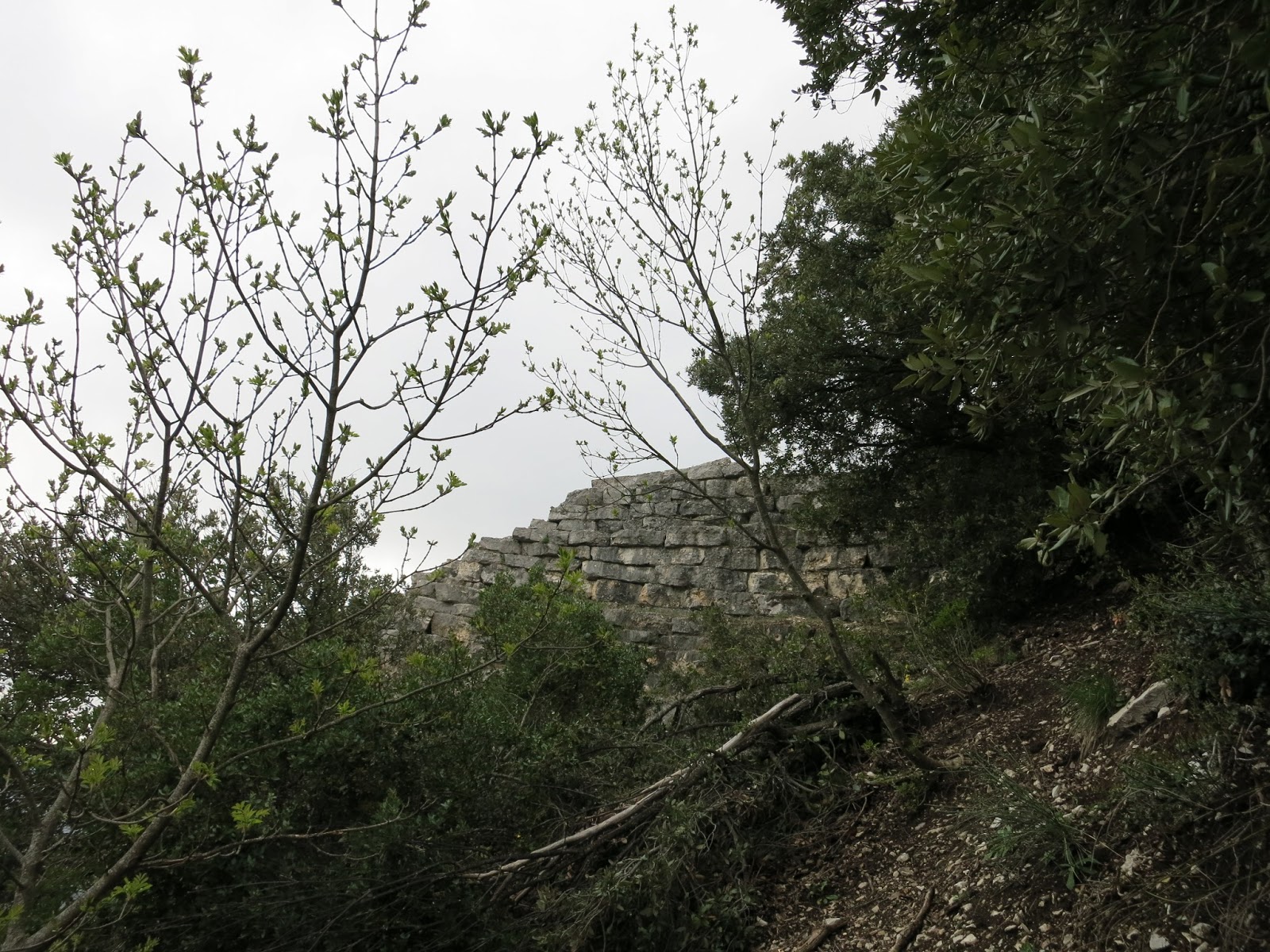 Itineris Mei: Monte Pietralata - Ascesa alla Testa del Duce