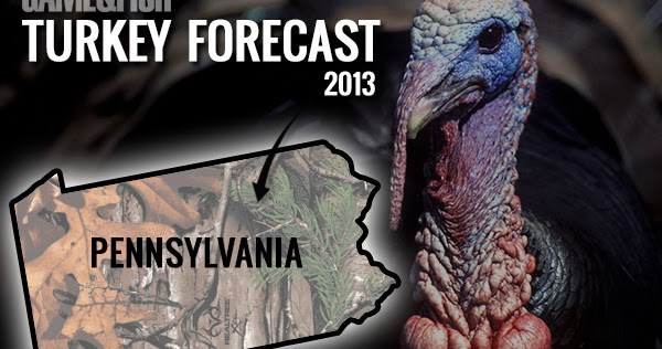 Full O'Bull Gazette: Pennsylvania Spring Turkey Season 6 Weeks Away ...