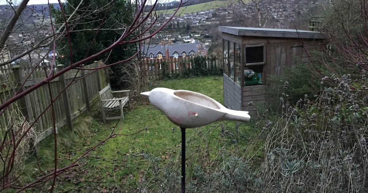 Growing up: Rats can fly!