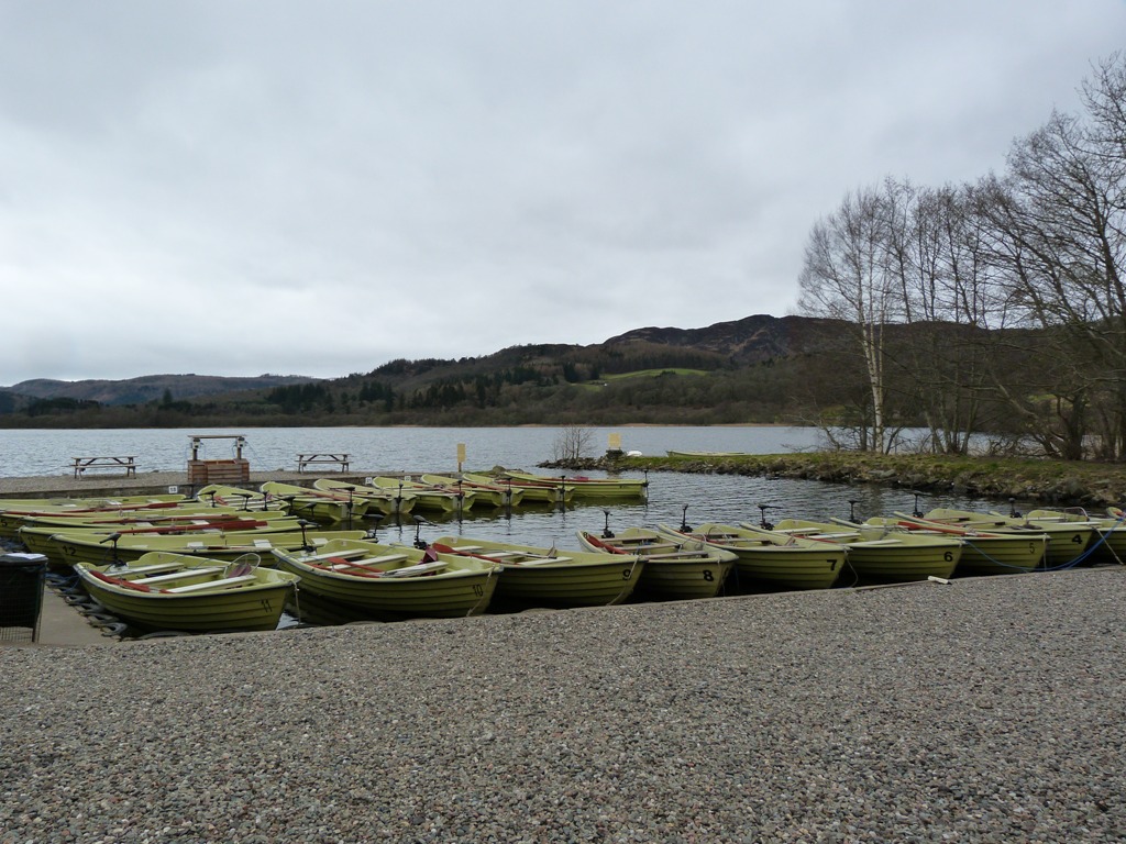Memoirs of a Bed & Breakfast Owner: Butterstone Loch Fishery