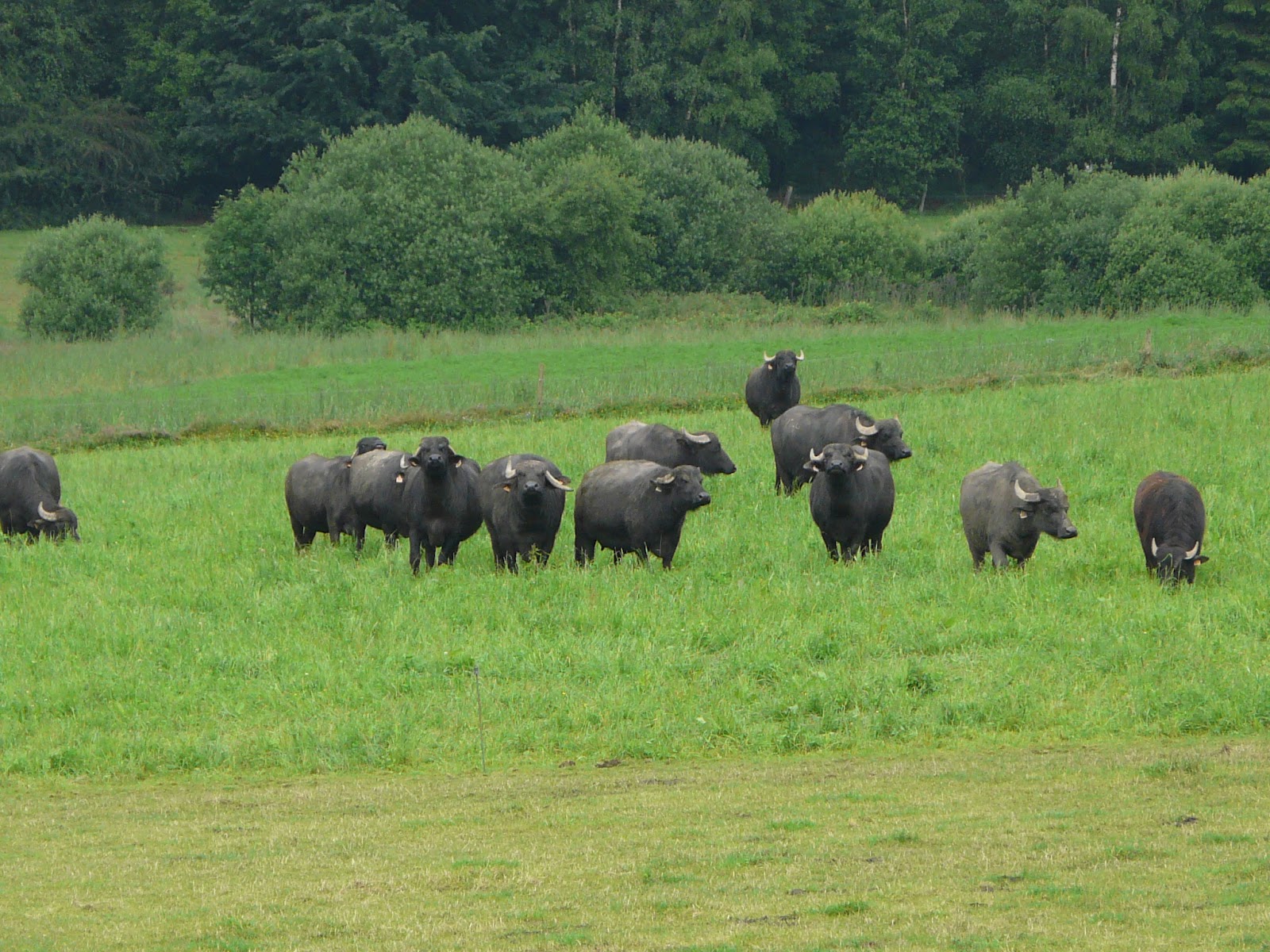Blog de la 5e A de l'Institut Saint-Joseph de Neufchâteau: Visite de la ...