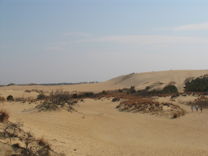 Jockey's Ridge State Park