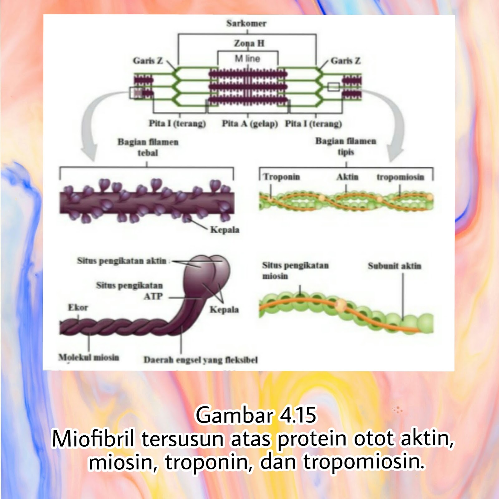 Penjelasan Materi Gambar Bab 1 Sistem Gerak