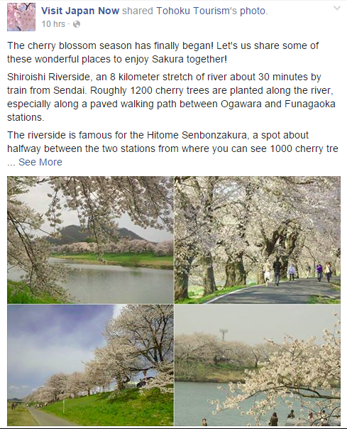 Zamani 84: 'Musim' Bunga 2015 Di Malaysia Serentak Dengan Musim Sakura ...