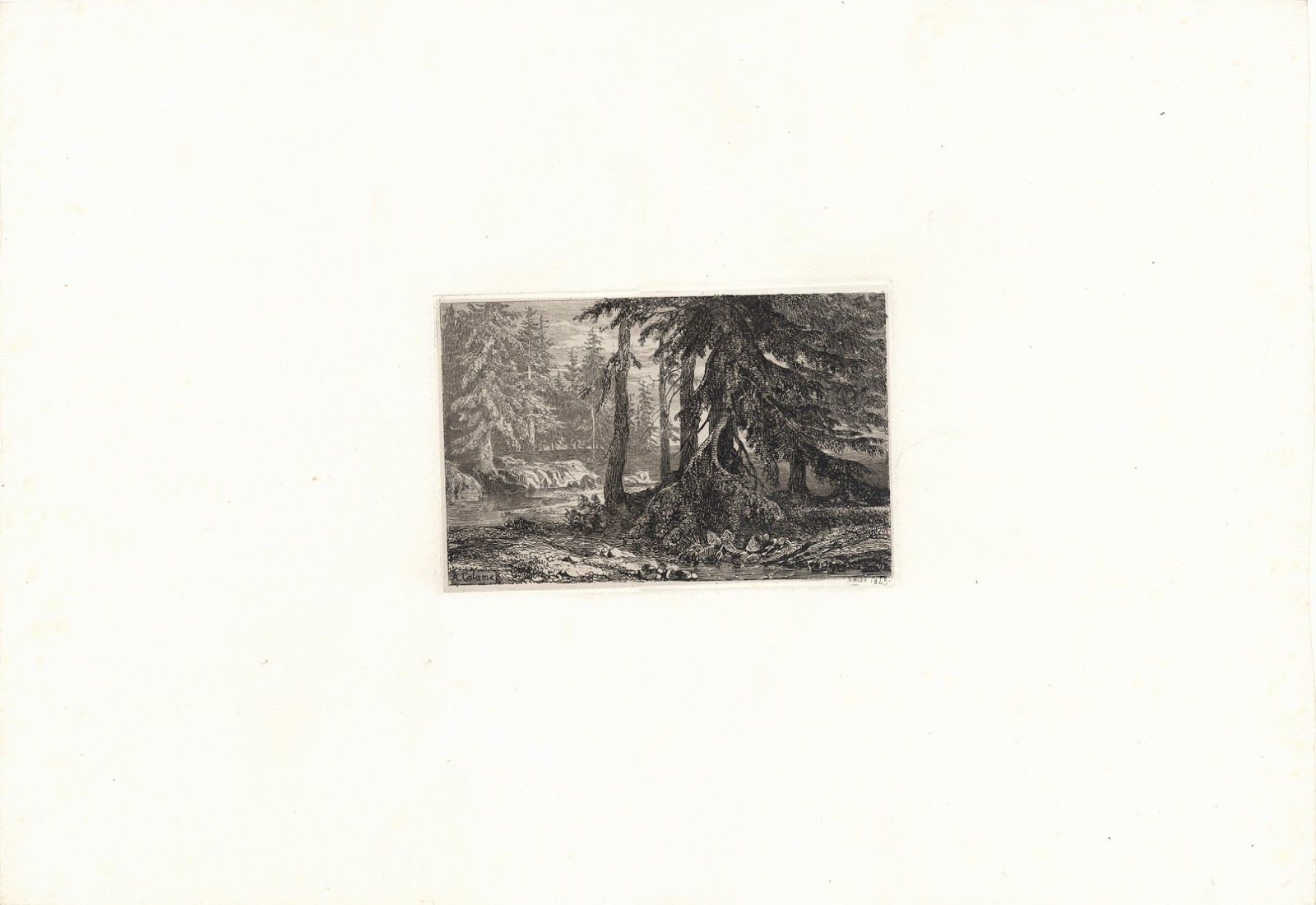 Prints and Principles: Alexandre Calame’s etching “Forest of fir trees ...
