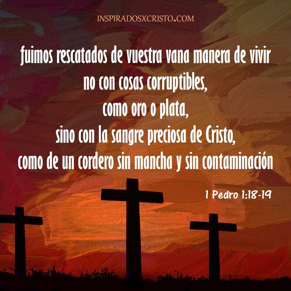 La Biblia 1 Pedro 118 Images And Photos Finder La Biblia 1 Pedro 118 Images And Photos Finder
