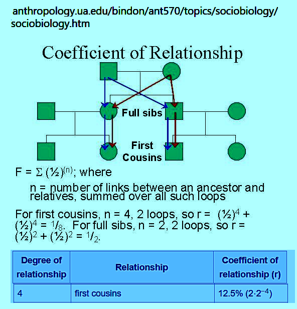SexualReligion: (156) Coefficient of Relationship (C.O.R.)