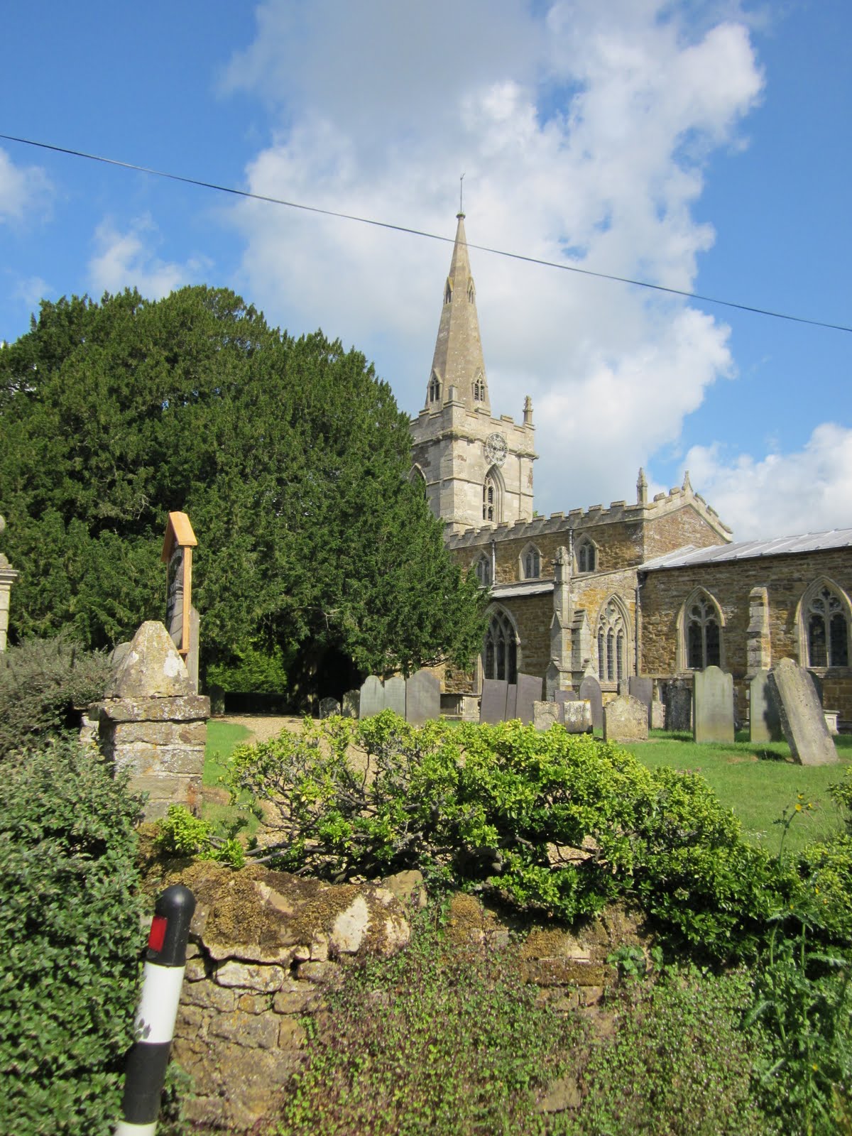 Travels with Midge: Staying local