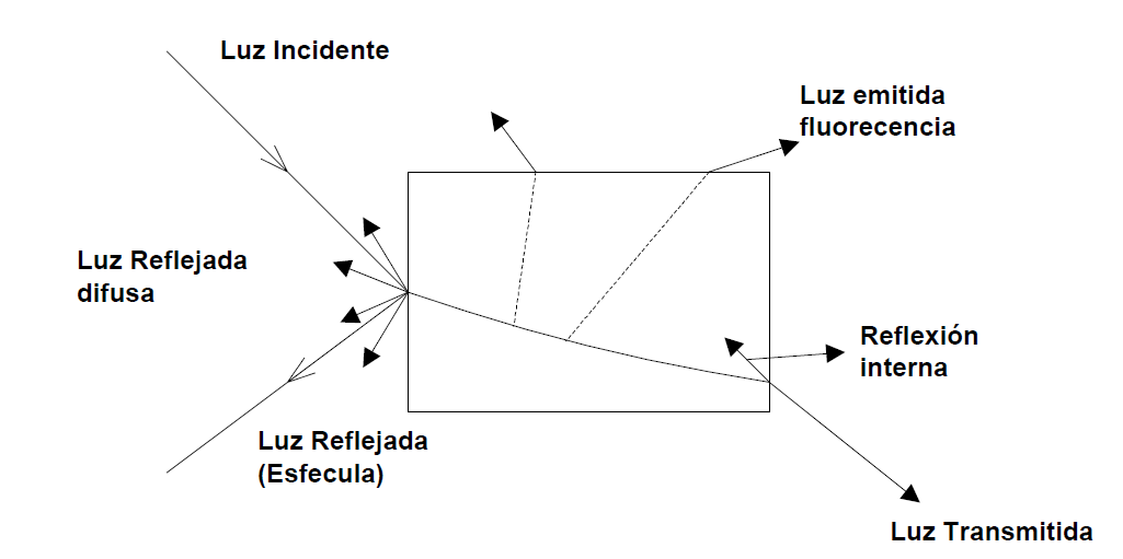GRAFICACIÒN: Unidad 4
