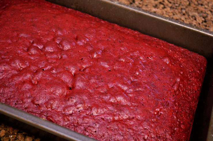 The Classic Owl: Red Velvet Mini Cakes