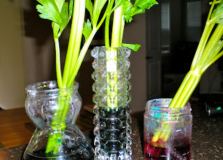 Sippy Cup Central: Thirsty Celery Experiment- Science