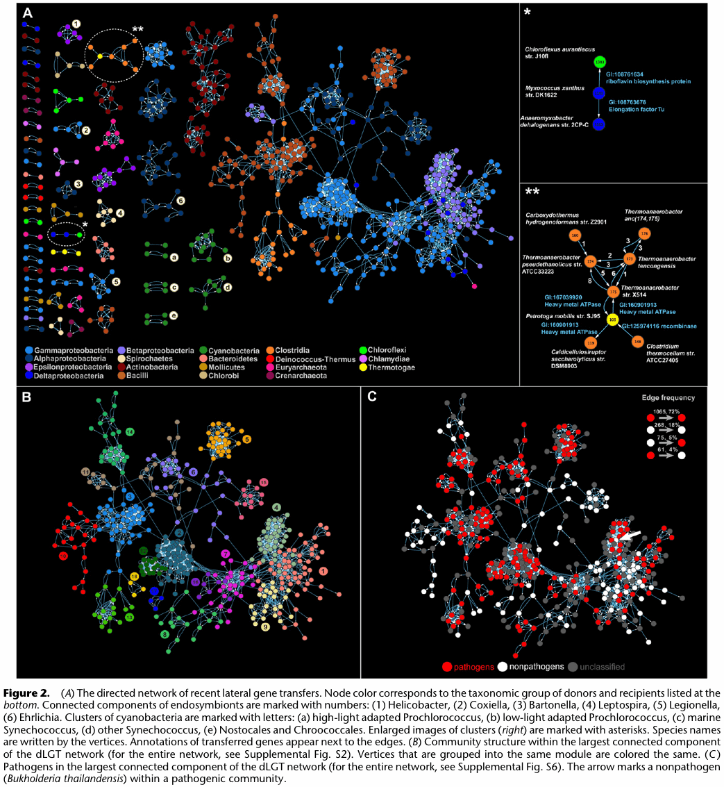 The Genealogical World of Phylogenetic Networks: Phylogenetic networks ...