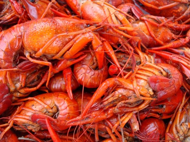 Brian's Spanish Grammar