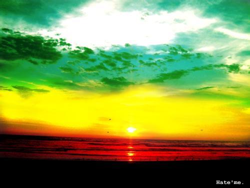 Reggae en su nueva expresión: Los subgéneros del Reggae