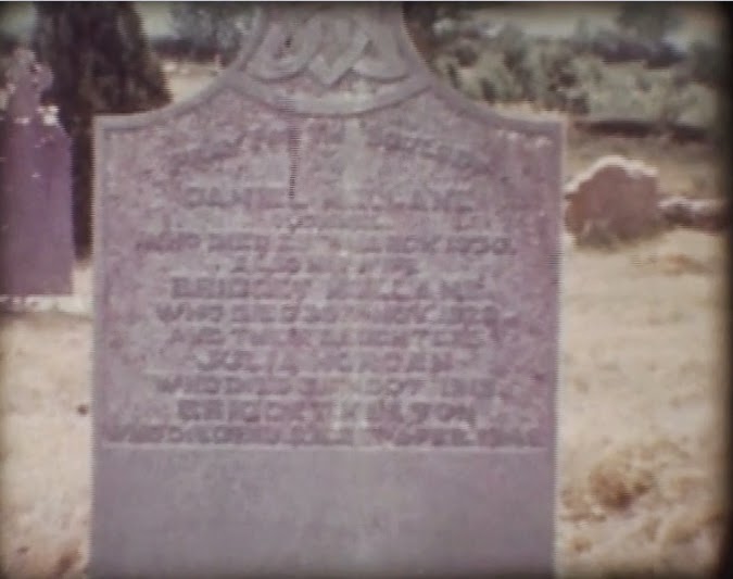 Leaves & Branches: Tranquil Tombstone: The Search for an Irish Family ...