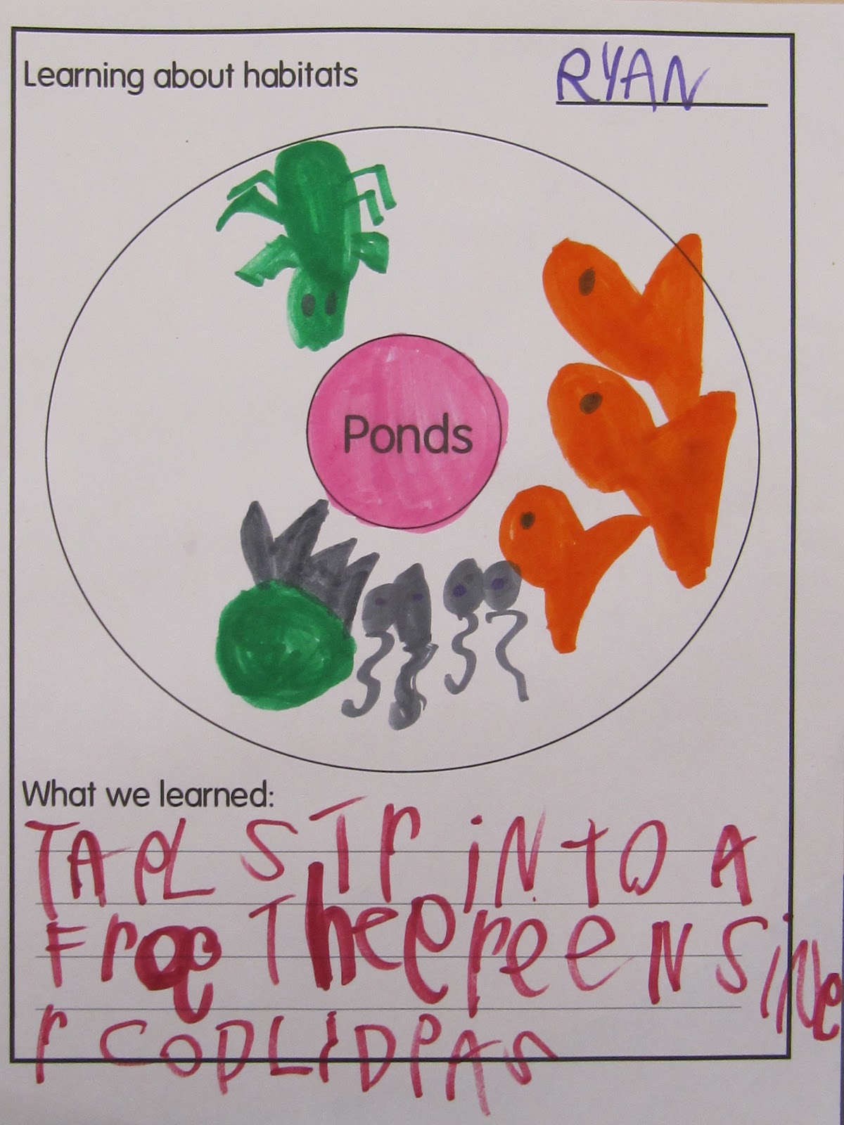 Joyful Learning In KC: In the Small Small Pond