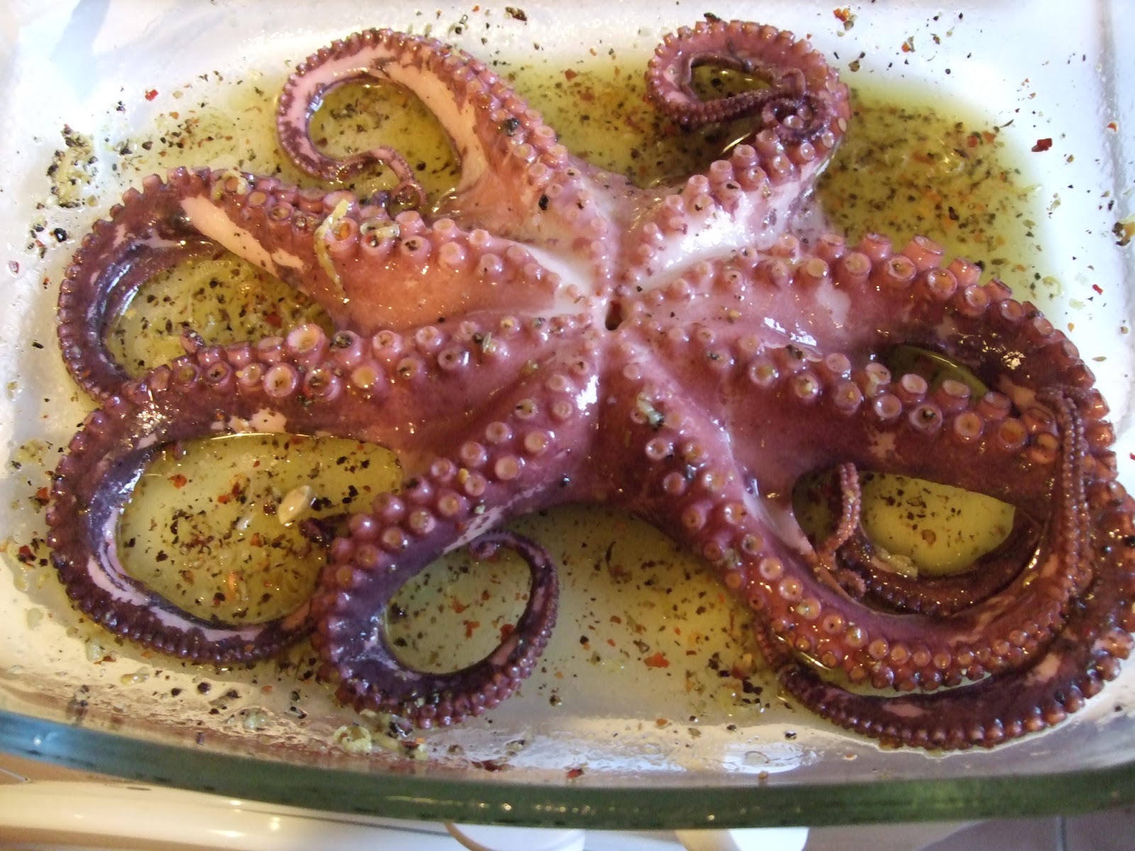The Venice Experience: The Great Octopus Experiment!