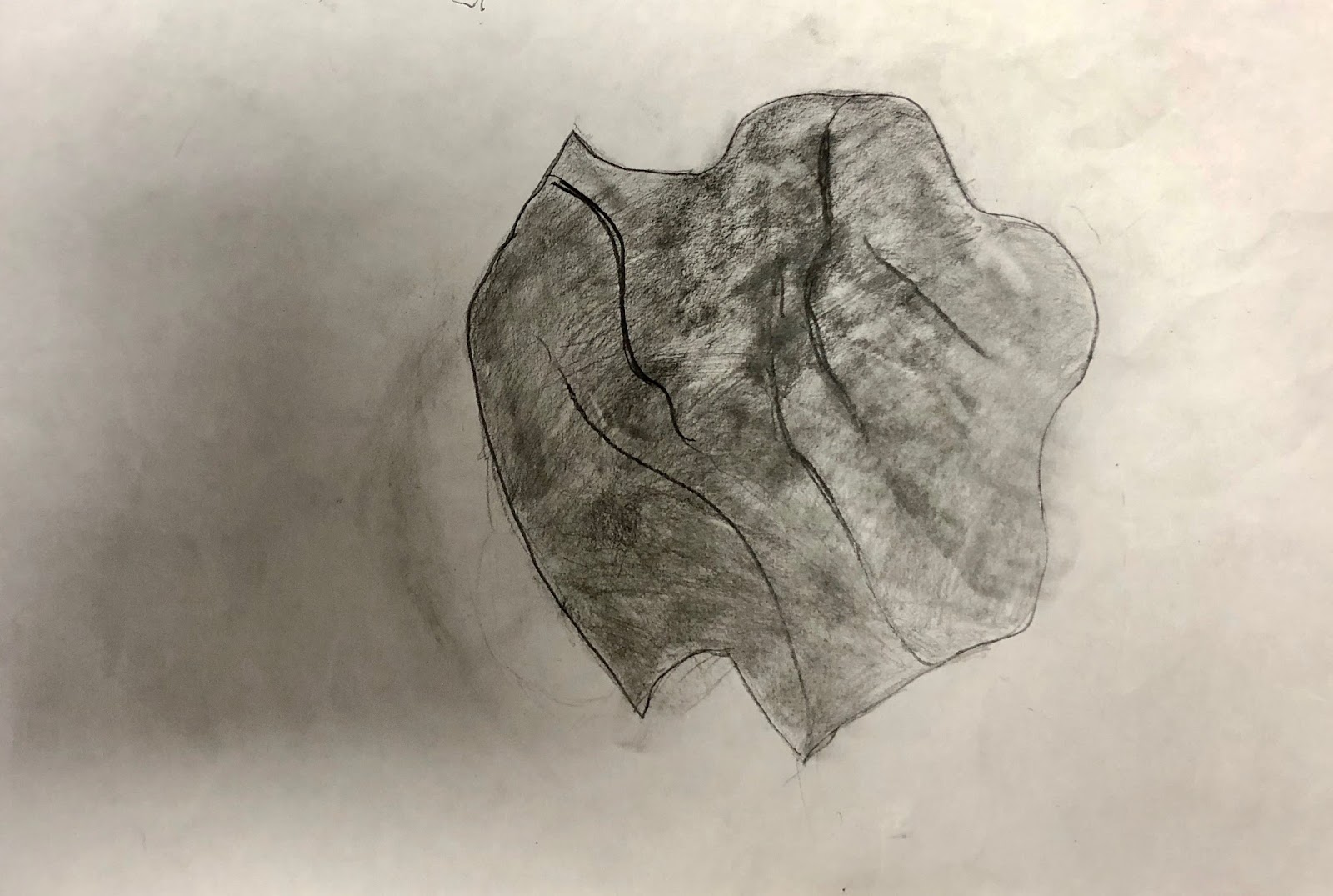TNPS Student Artists: YEAR 6 GRAYSCALE DRAWINGS