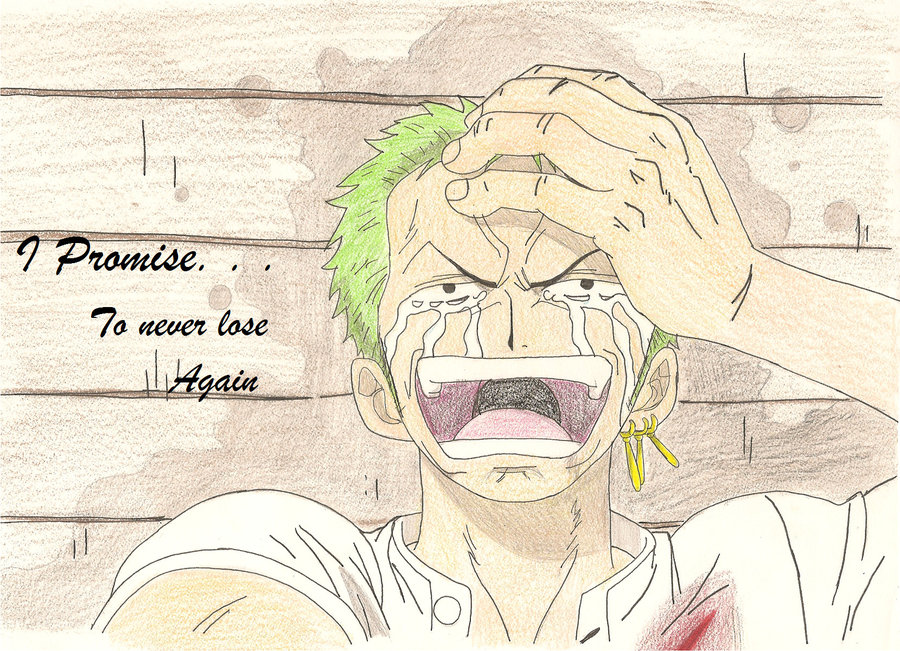 Putra's Go Blog: TOP 10 One Piece Sad Moment