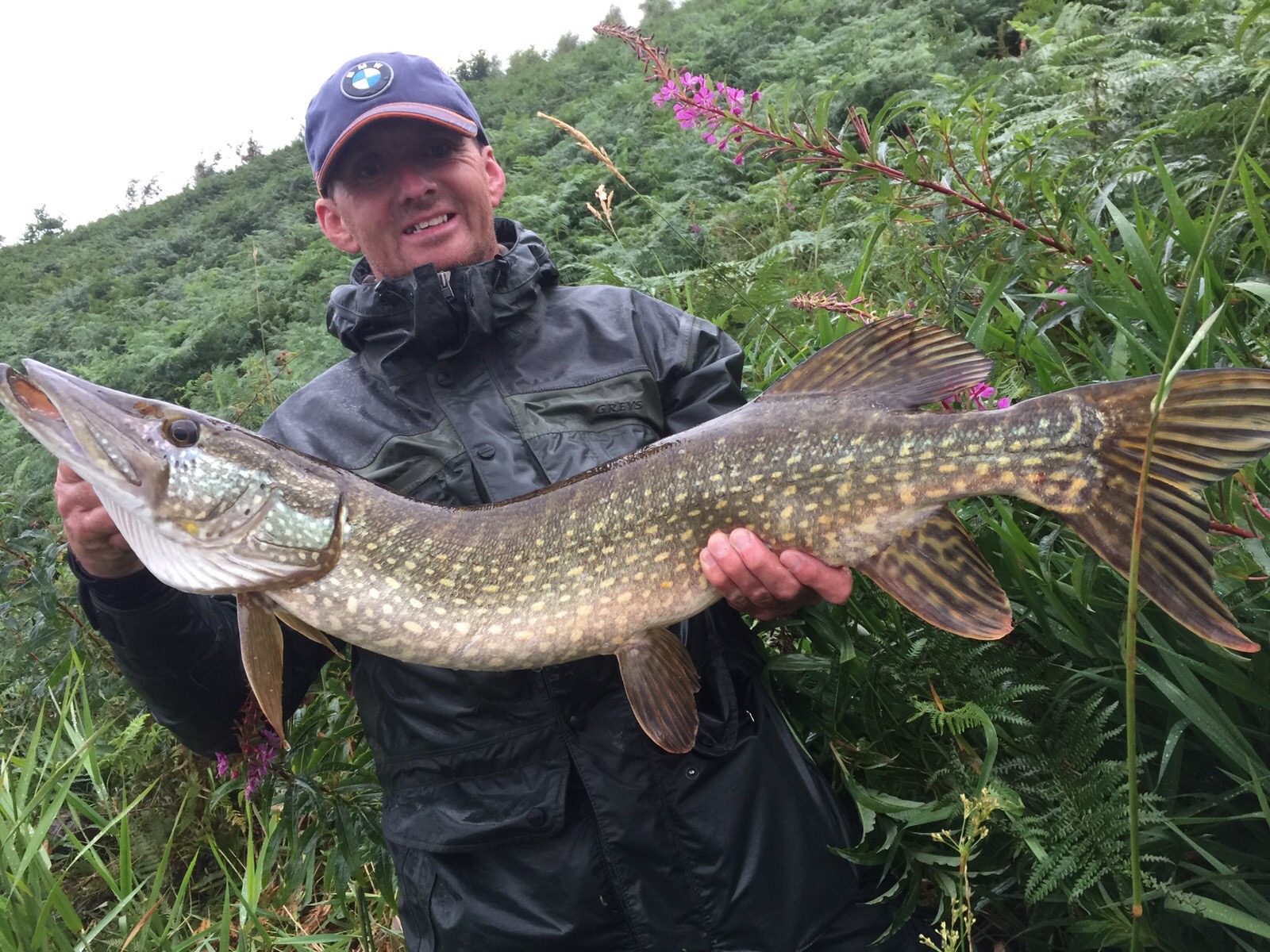 September 2015 Fish of the Month Entry - Real Eel Pike!