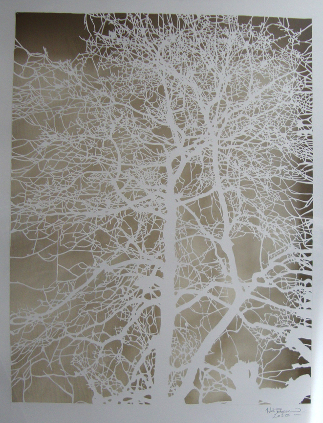 Brooke Dolan: Layer Observation