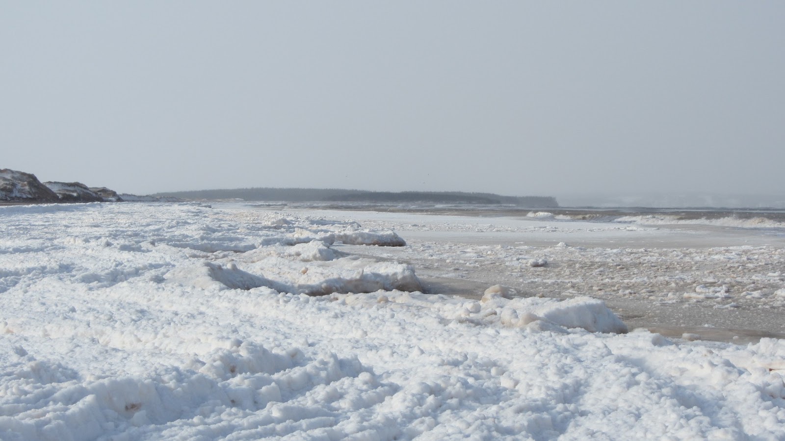 run, gloria, run!: Winter on Prince Edward Island