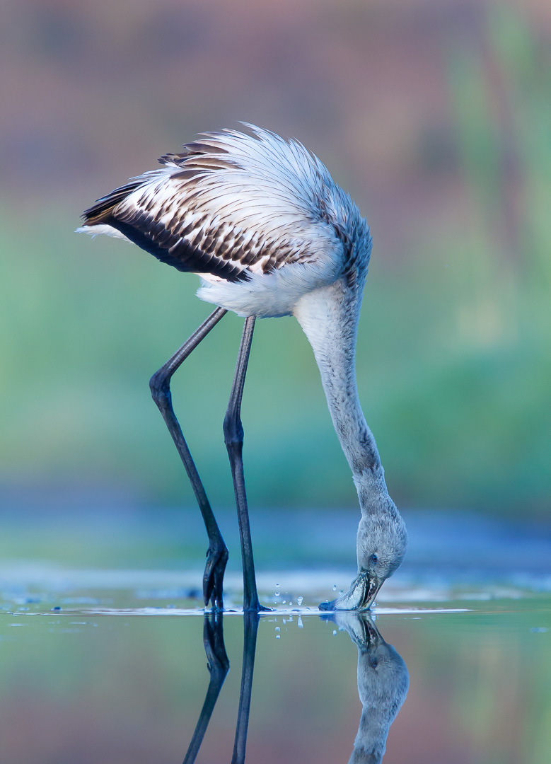 Nikos Fokas Photopraphy Blog