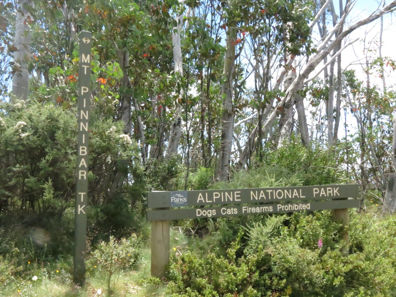 The Going Grey Nomads