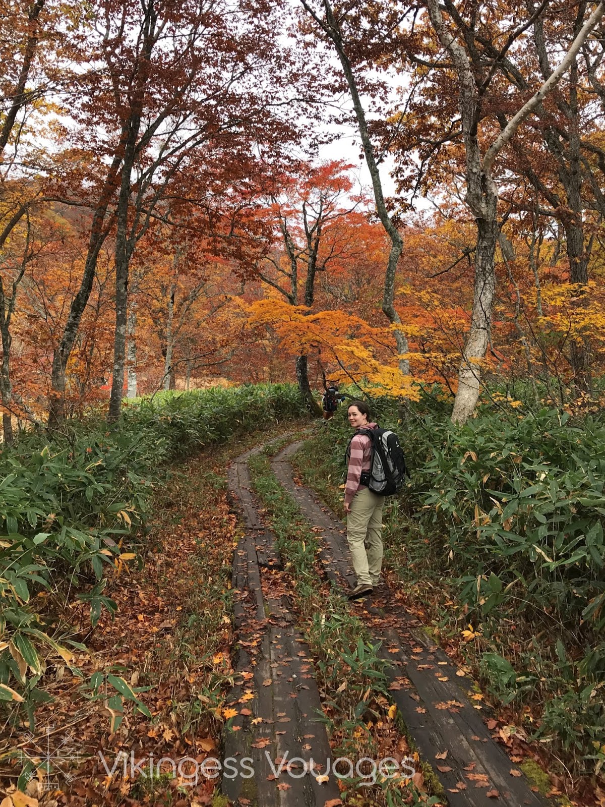Gunma: How to enjoy the Autumn Foliage at Oze National Park - Vikingess ...