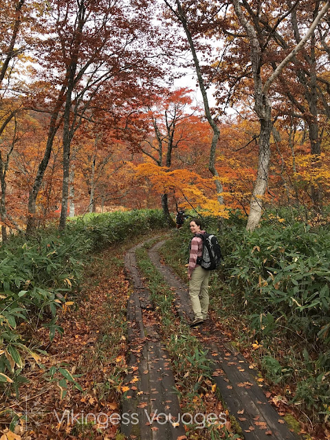 Gunma: How to enjoy the Autumn Foliage at Oze National Park - Vikingess ...