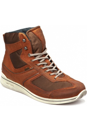 Cute or Not Cute?: High and Dry