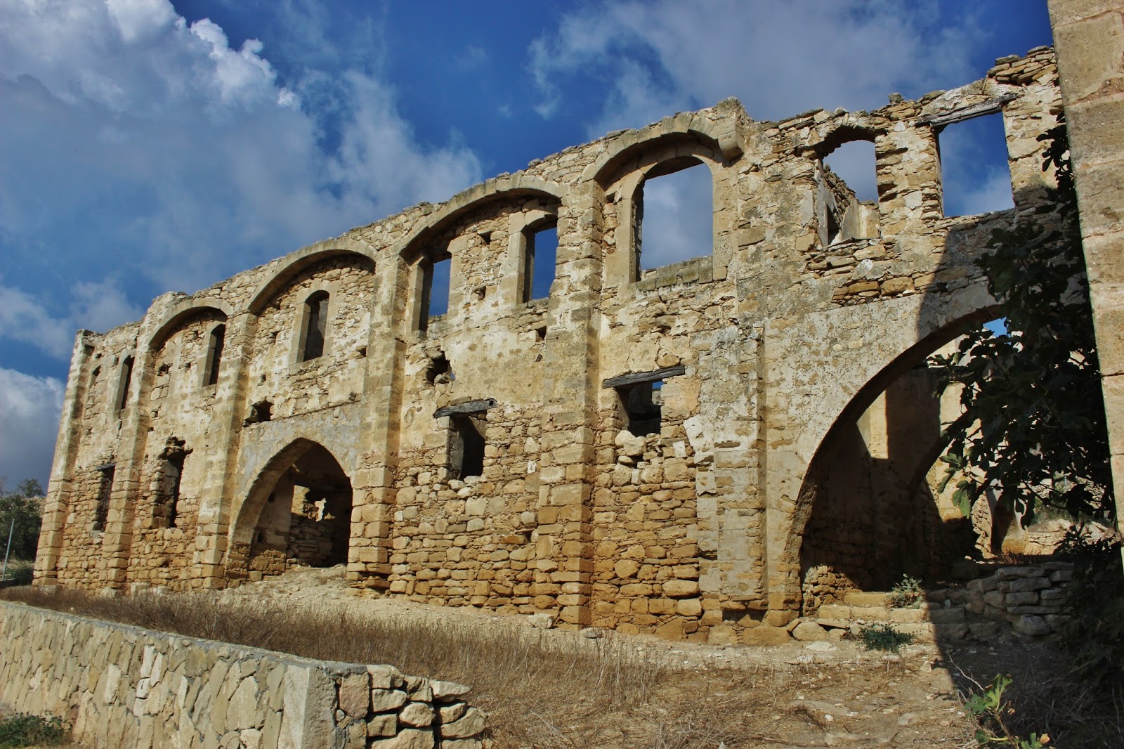 Biodiversity of Cyprus by NGO Protection of the Natural Heritage and ...