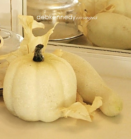 Tutorial: Bleached Leaves homeward found decor