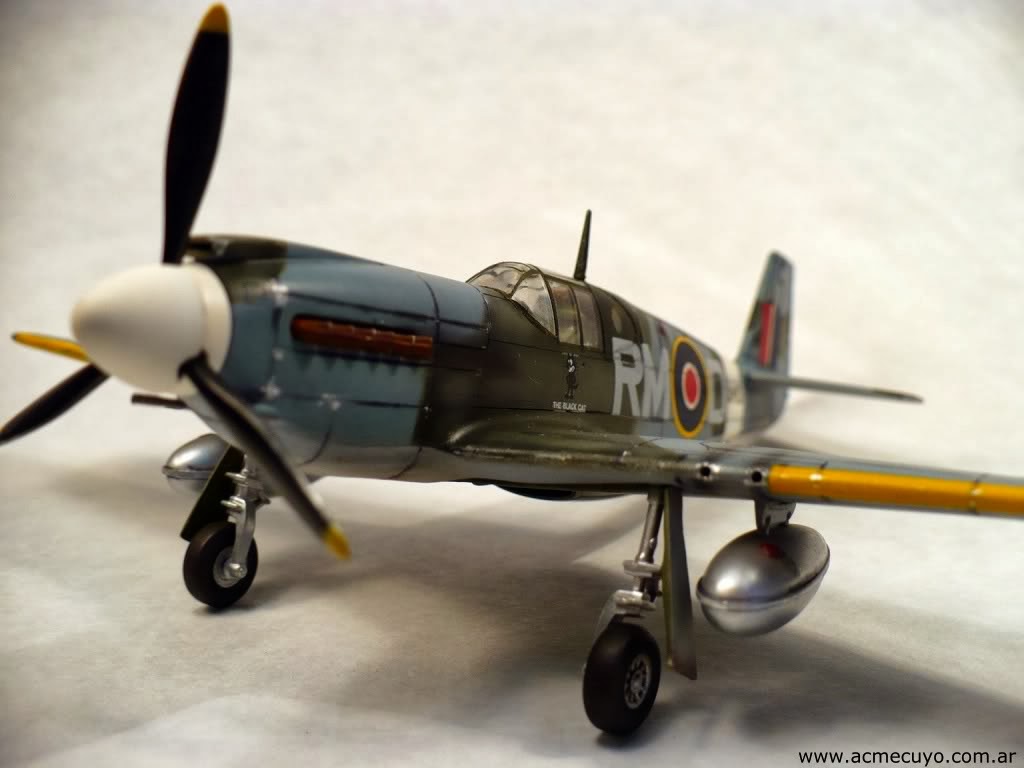 A.C.M.E. Cuyo: Mustang P-51 I "Razorback"