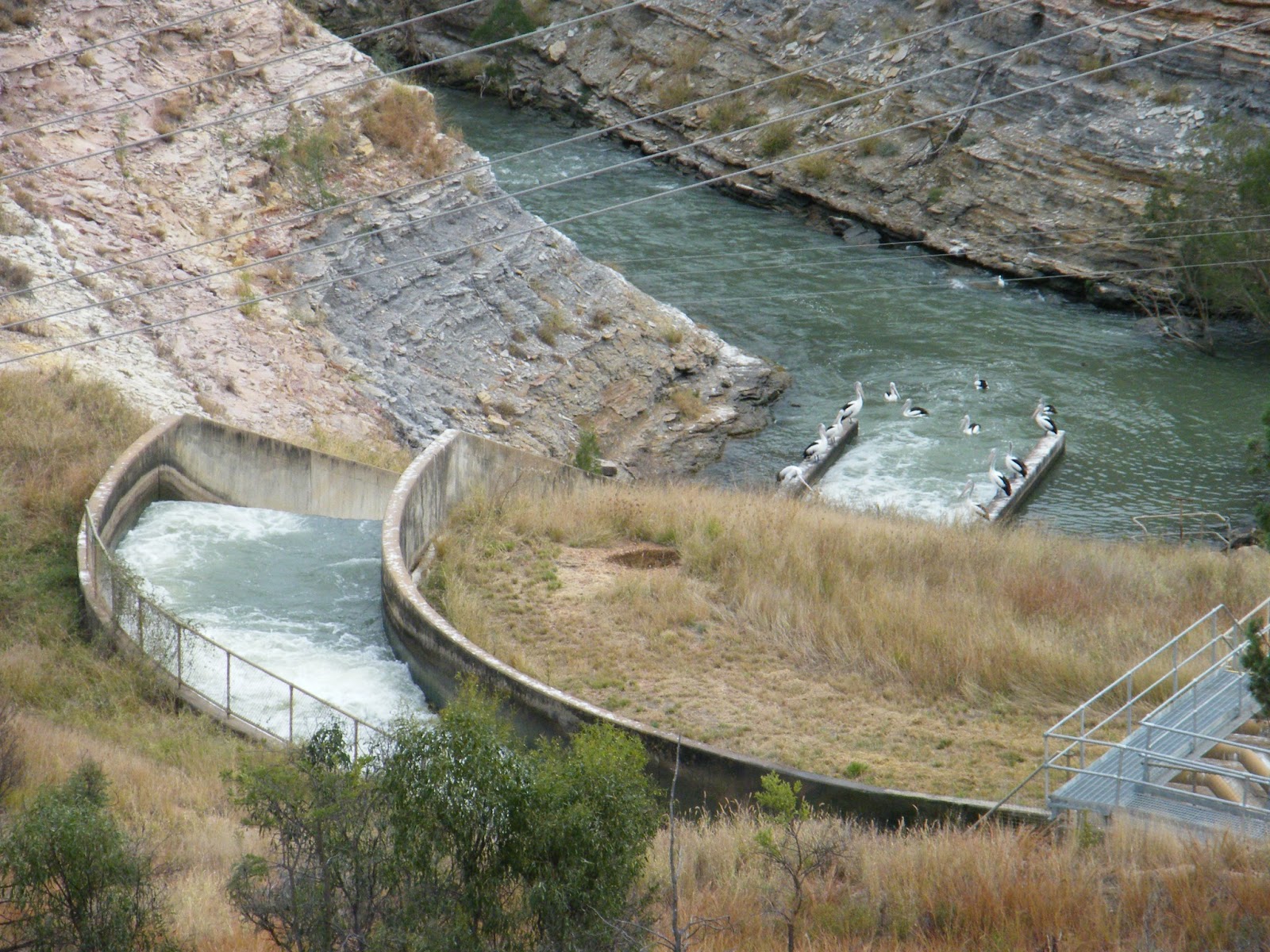 BJ and Noelle Travel Oz : Isisford - Jericho - Emerald - Mundubbera ...