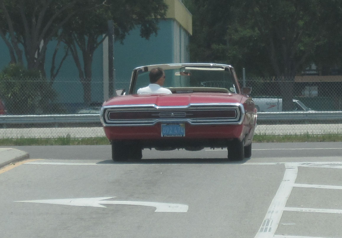 Retired in Paradise: Good Looking Rear Ends